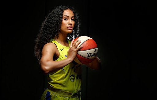 Skylar Diggins Husband Net Worth Dicksnationals